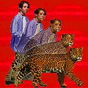 Guide to the Animorphs Books
