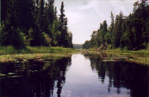 Atikaki Canoe Outfitters