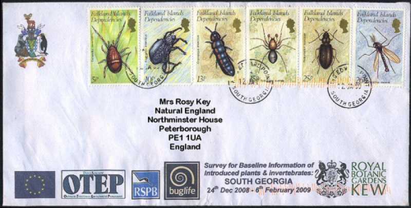 Checklist of the Collembola: Anurophorinae