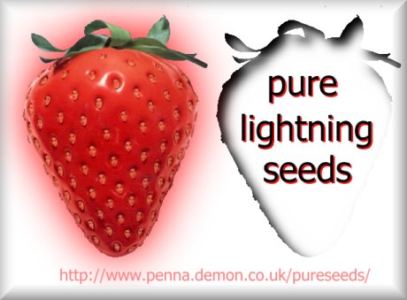 Lightning Seeds