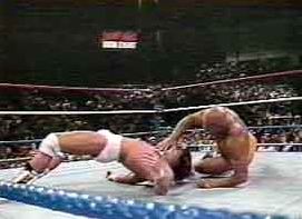 The Can-Am Connection - Zenk and Martel, WWF 1987