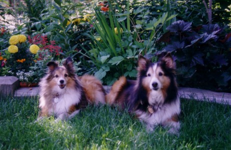 September Morn: A Web Journal: Epilogue: Laki, Heaven's Sweet, Smiling ...