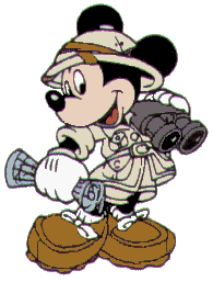Scouts (Grupo Scout Pierzu)