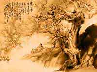 Ryokan - Bosque de Bambú, Camino del Haiku - Daigu Ryôkan