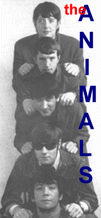 The Animals