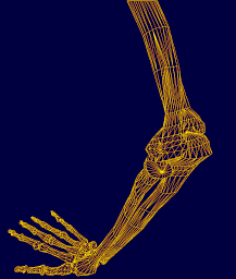 Hand & Wrist Injuries