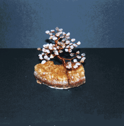 Gem Tree Photos