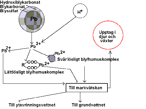 lead page