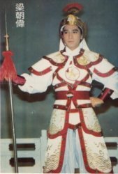 The Yang's Saga (1985)