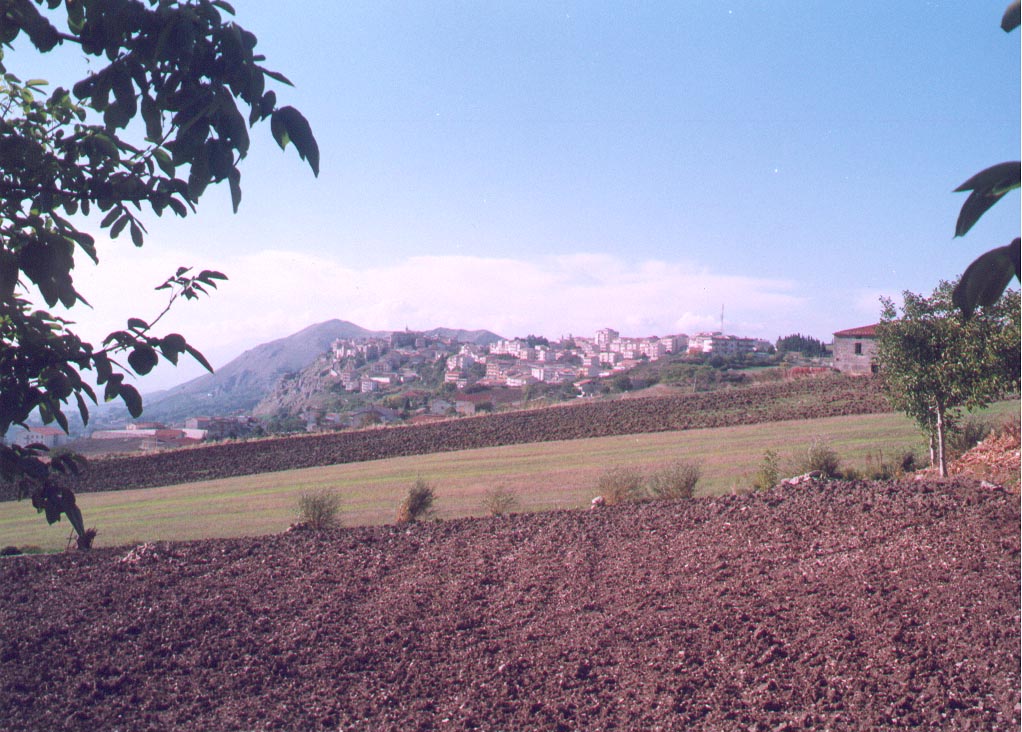 Mis Fotos de Caggiano