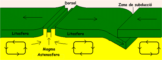 Nova pagina 1