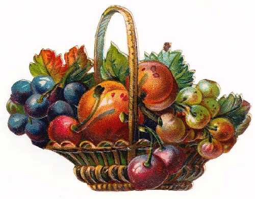 Victorian Arts Fruits