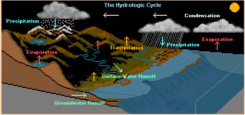 Water Cycle...