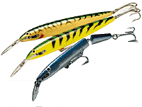 Rapala at a Glance